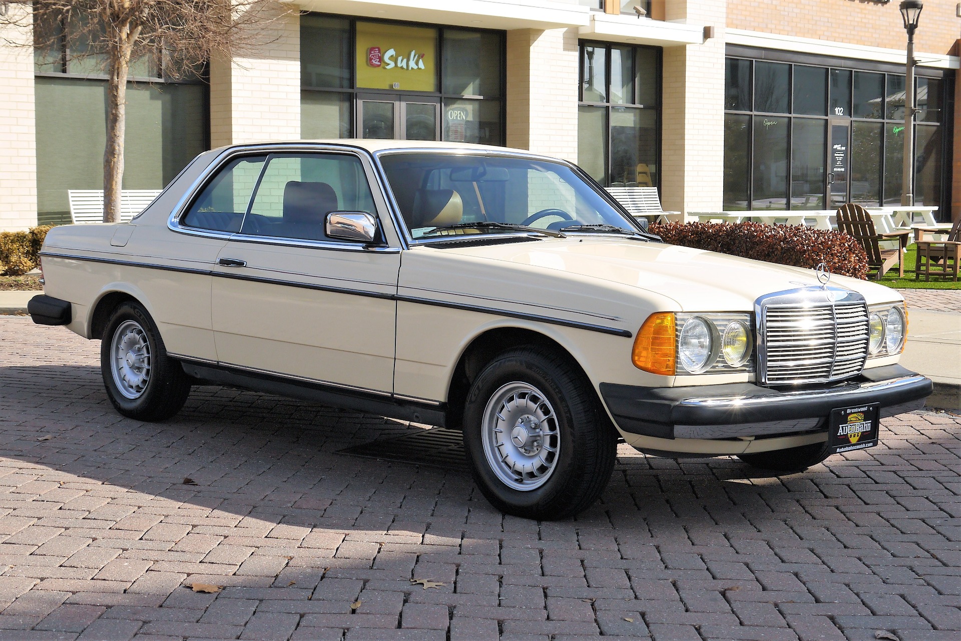 1983 Mercedes Benz Diesel